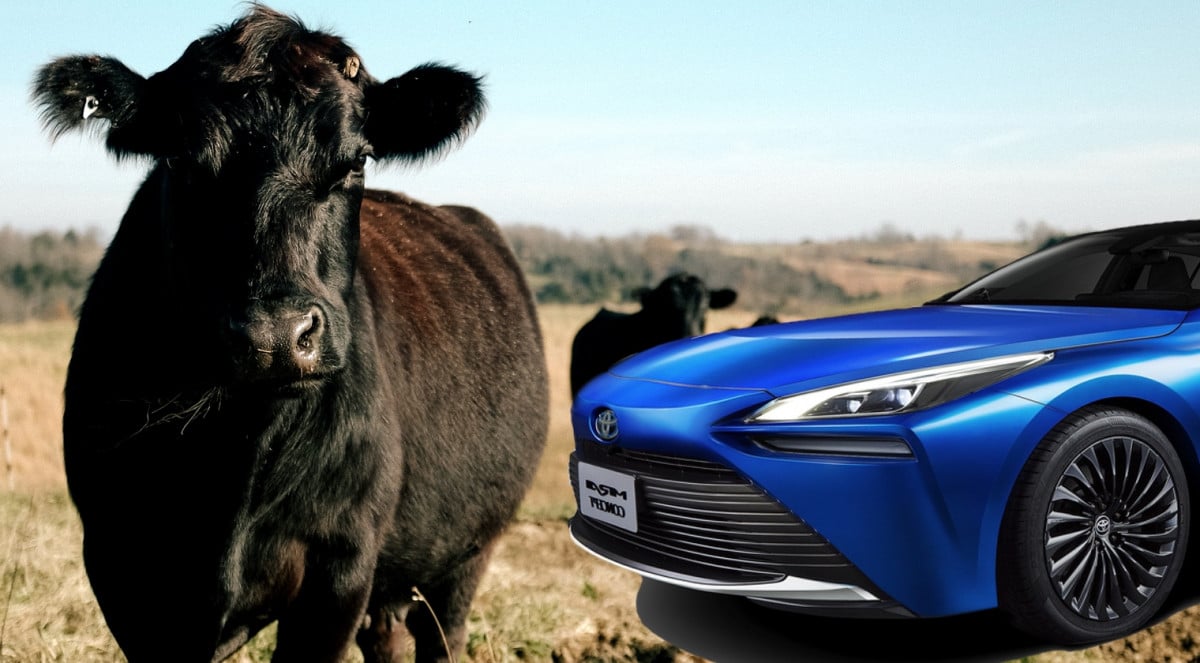 Toyota's New Car Runs On Cow Poop, For Sale In 2021