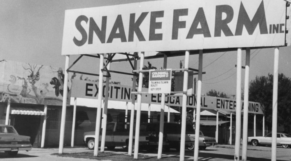 See Texas Hill Country's Snake Farm That's Been Around For 50+ Years