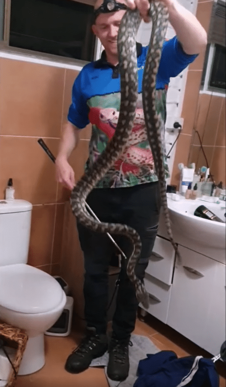 7-Foot Python Holds Family's Bathroom Hostage