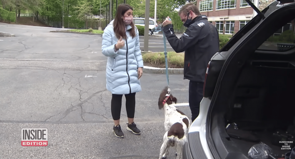 News Reporter Captures Dog Thief On Live TV