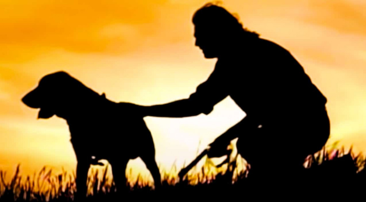 6 Of The Most Memorable Country Songs About Dogs