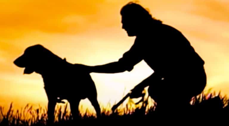 6 Of The Most Memorable Country Songs About Dogs
