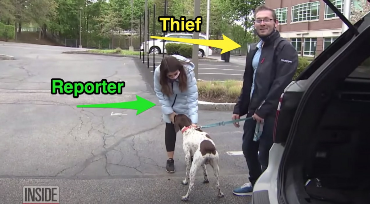 News Reporter Captures Dog Thief On Live TV