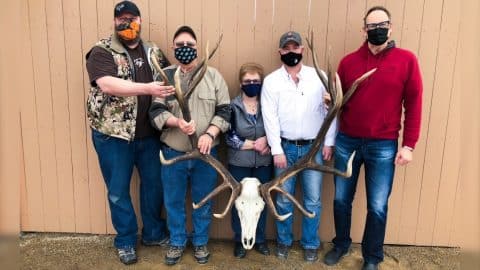 Farmer Kills Largest Non-Typical Elk With Bow & Sets World Record ...