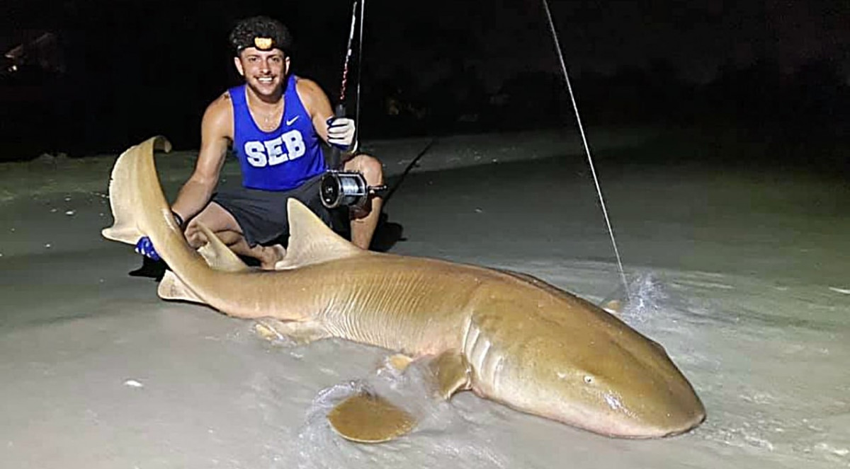 8ft Nurse Shark Caught By 18-Year-Old Vacationer