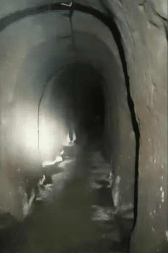 Man Finds Hidden Tunnel & Bat Cave Under His Home