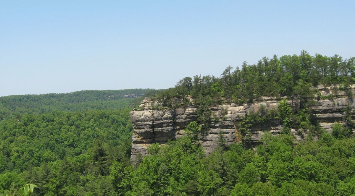 4-Year-Old Boy Falls Off 70-Foot Cliff...And Walks Away With Scratches