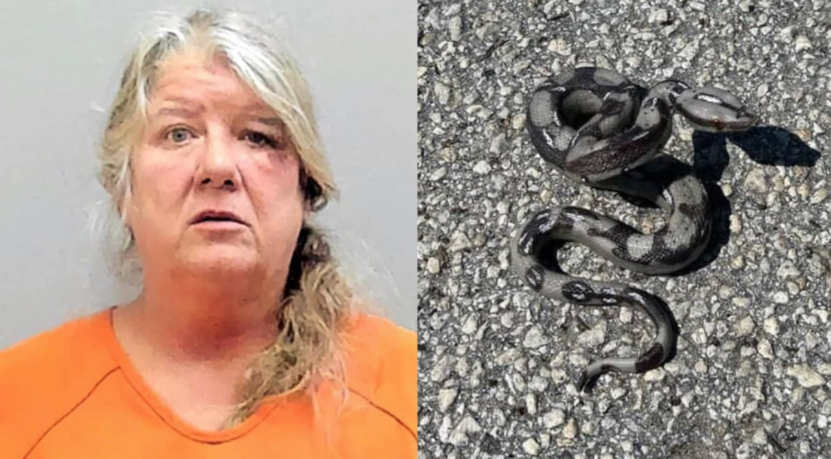 Reckless Driver Throws "Snake" At Cop During Police Chase