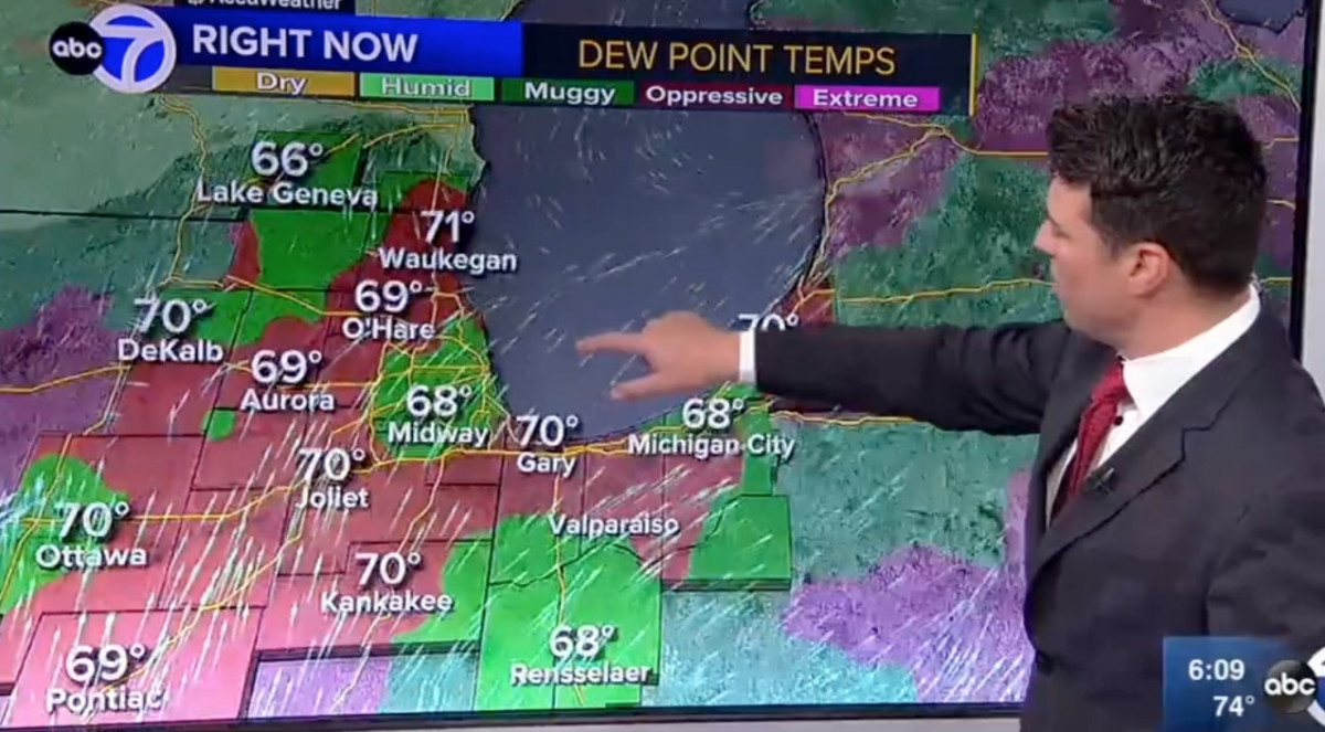 Weatherman Breaks Character On Live TV When He Discovers Monitor Is ...
