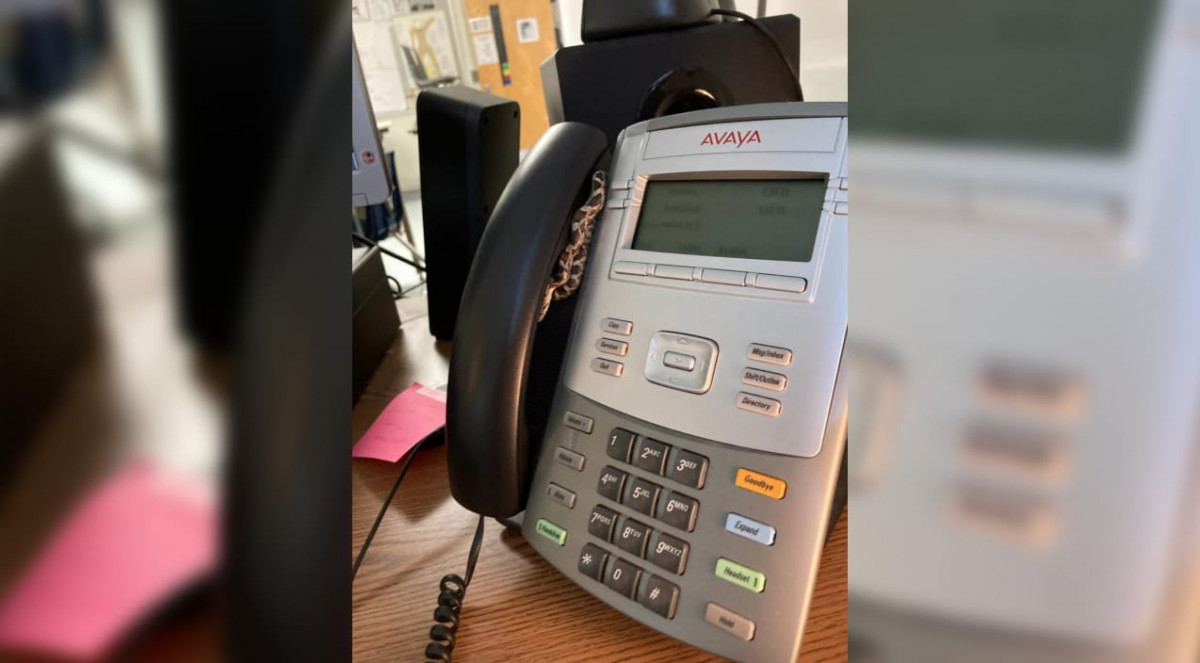 Snake & Mice Fall From Kentucky High School's Ceiling