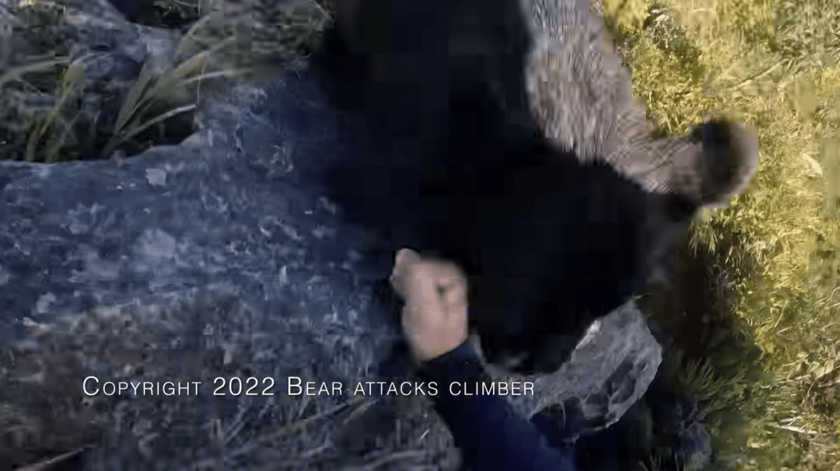 Mountain Climber Whoops Wild Bear & Throws It Off A Cliff