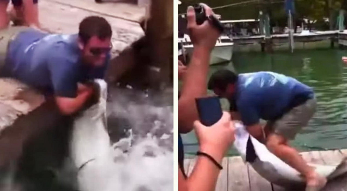 Fish Bites Man's Arm & Drops Him To The Ground