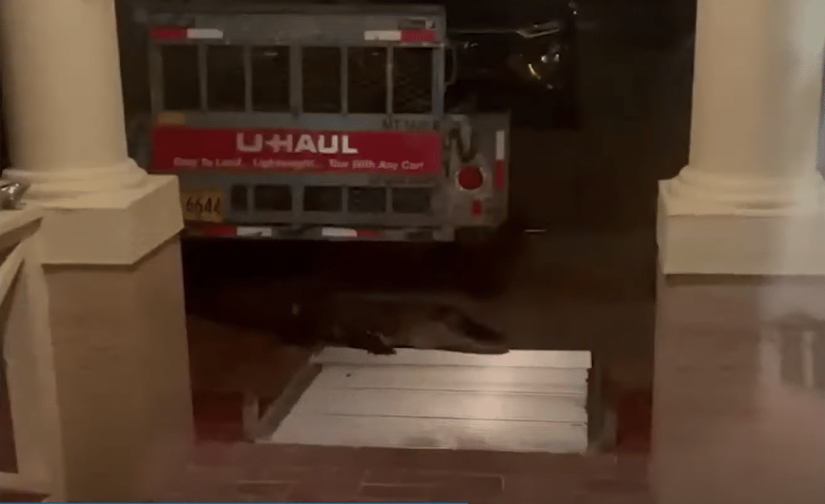 Man Attacked By Alligator On His Own Front Porch In Florida