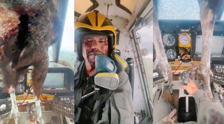 Pilot Continues To Fly Plane After Massive Bird Crashes Into Cockpit