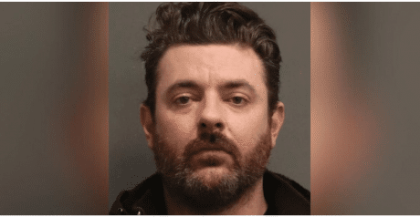 15+ Mugshots Of Country Music Stars