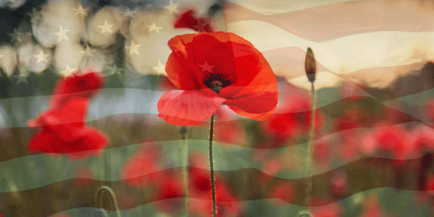 What Is The Meaning Behind Wearing Red Poppies On Memorial Day?