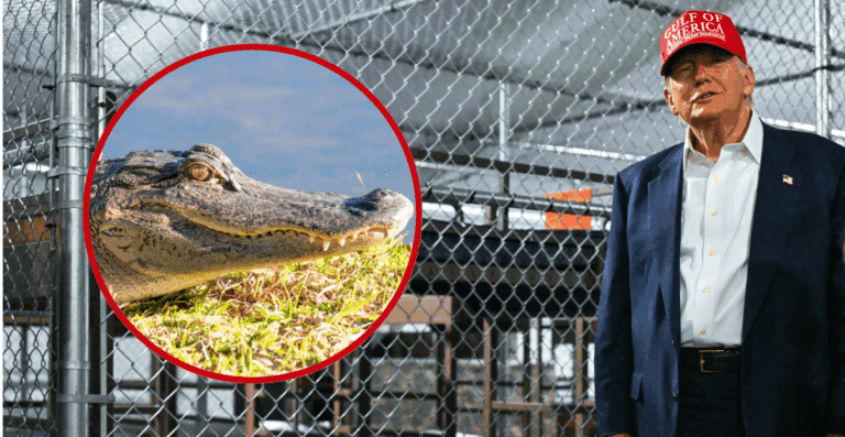 Inside 'Alligator Alcatraz' -- Trump Tours Immigration's Newest Prison