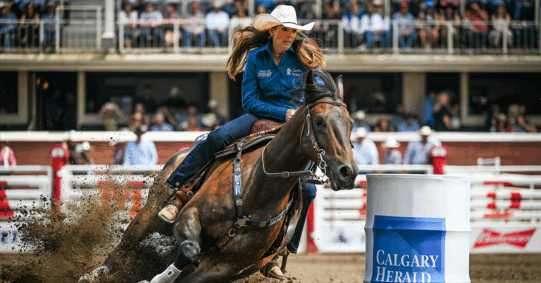 Owners Provide Update On Horses Injured In Las Vegas Barrel Racing Stabbing