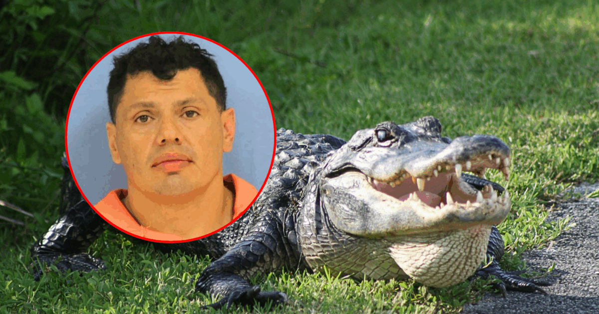 Bodycam Captures Alligator's Surprise Attack On Fleeing Suspect